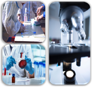 INICIO - RAPHA Referencia Clínica